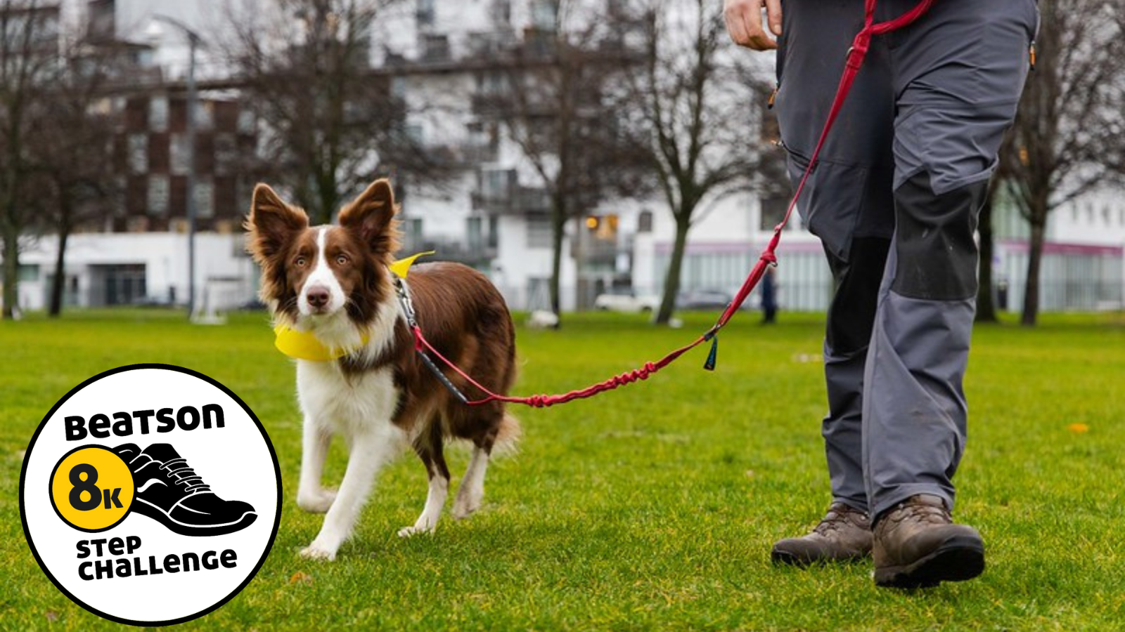 8k Steps Challenge-Step up for Beatson Cancer Charity