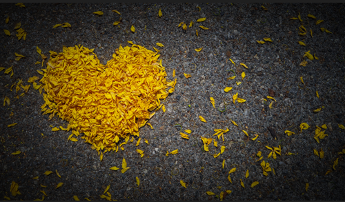 National Grief Awareness Week | Beatson Cancer Charity